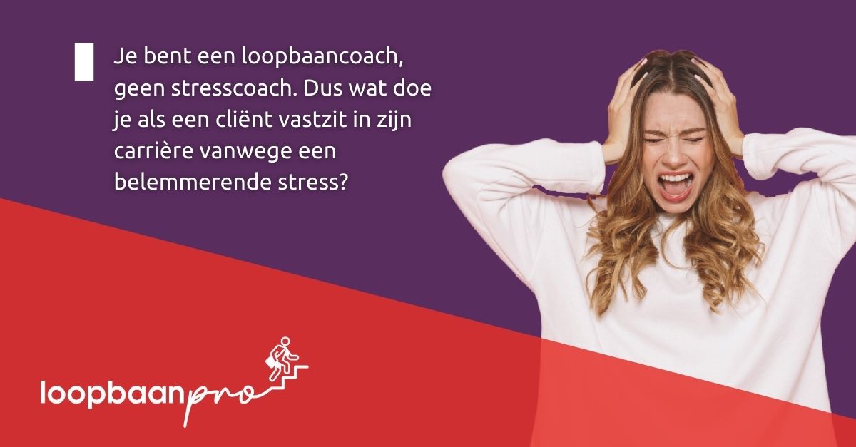 Staat stress in de weg van een loopbaankeuze? Dan biedt deze tool een ...